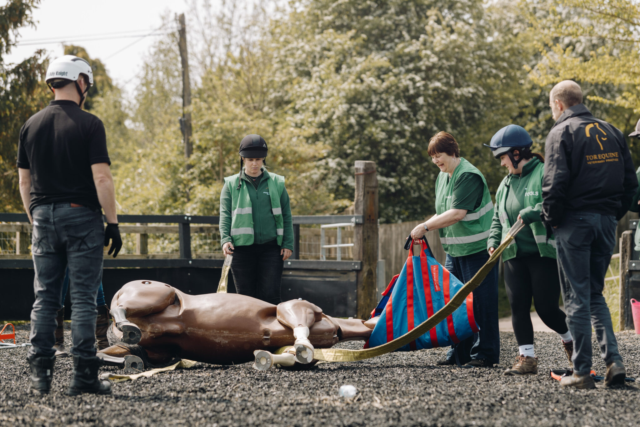 Training debut for ‘Max’ the horse mannequin… | The Mare and Foal Sanctuary