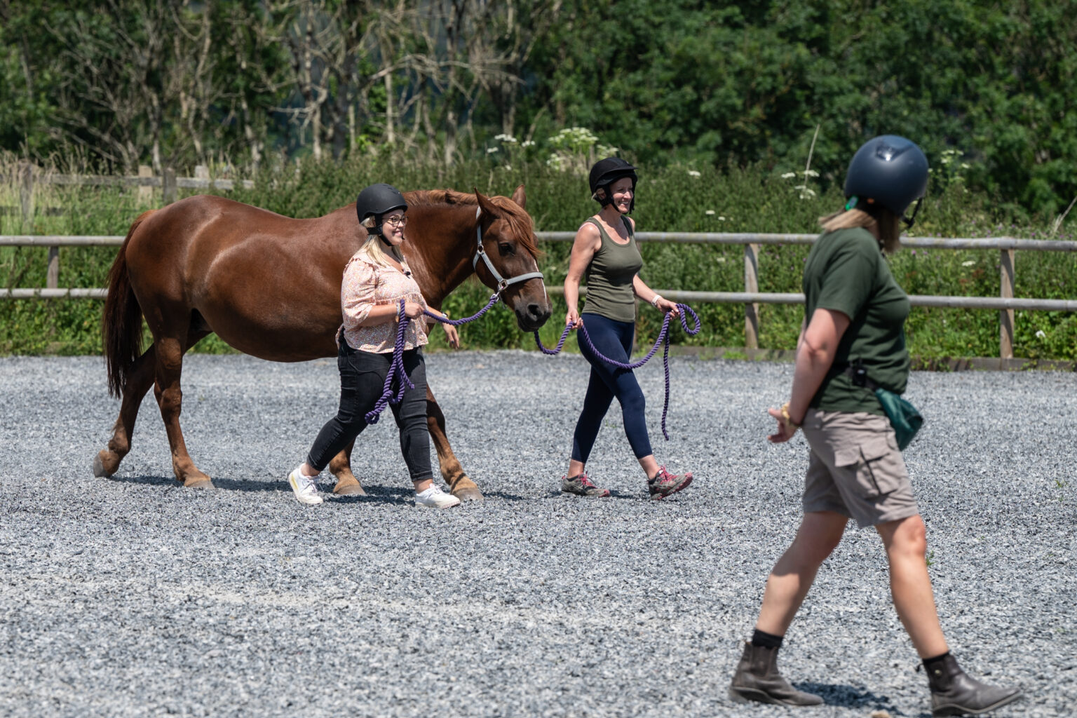 Making Animal Friends…top podcasters take a walk in Coombe Park… | The ...