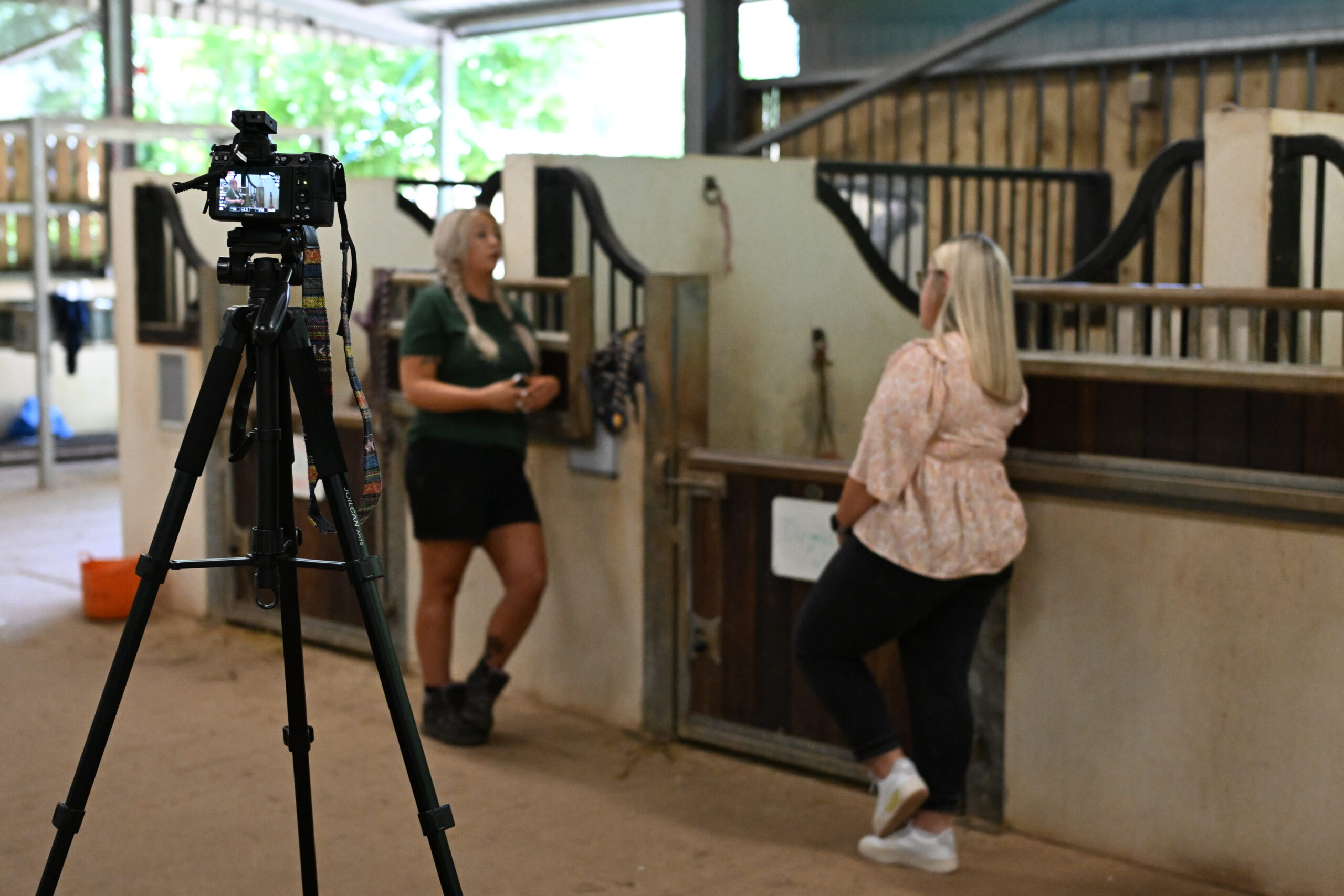 Making Animal Friends…top podcasters take a walk in Coombe Park… | The ...